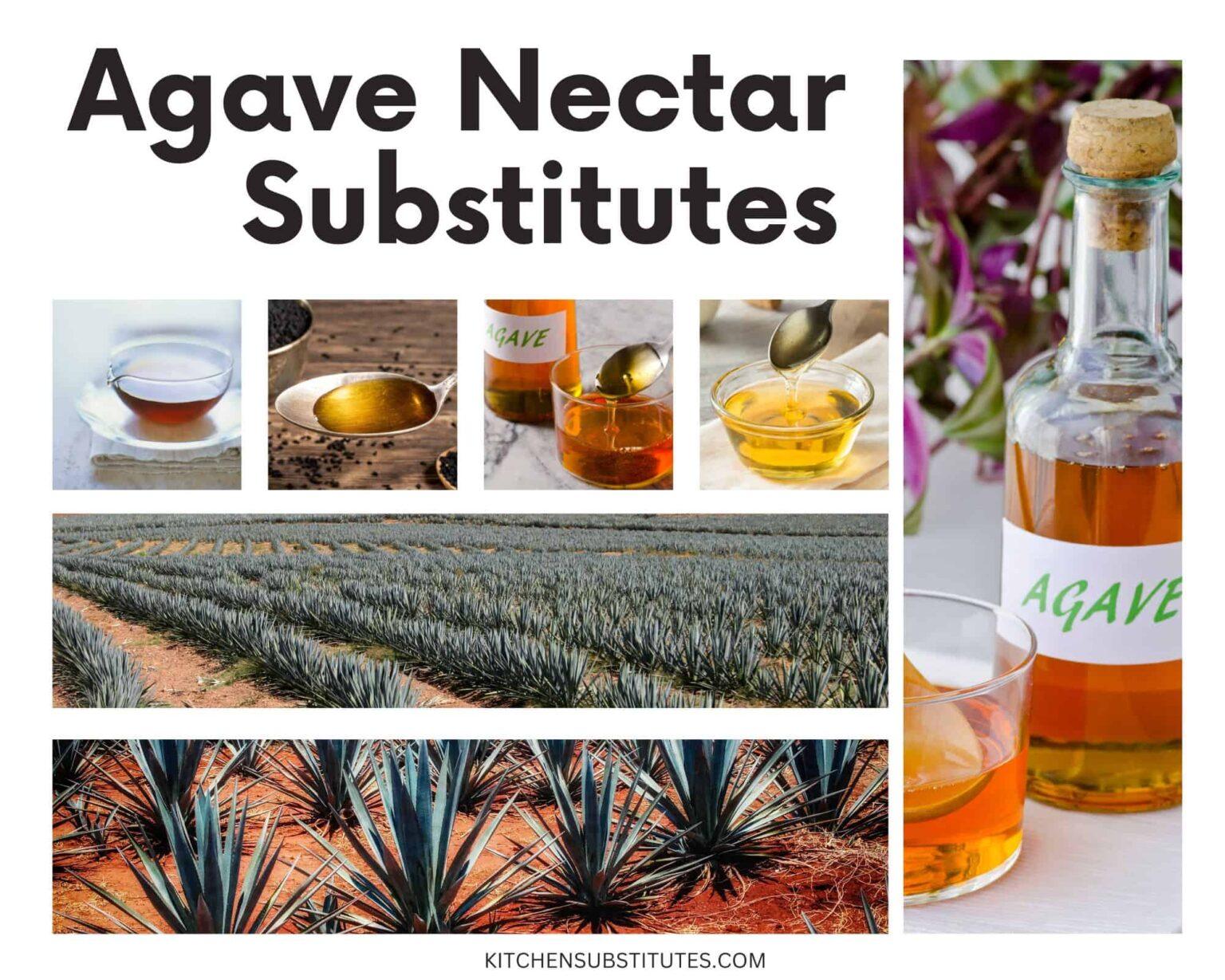 The Best Agave Nectar Substitutes To Try (Plus Sugar-Free Options ...