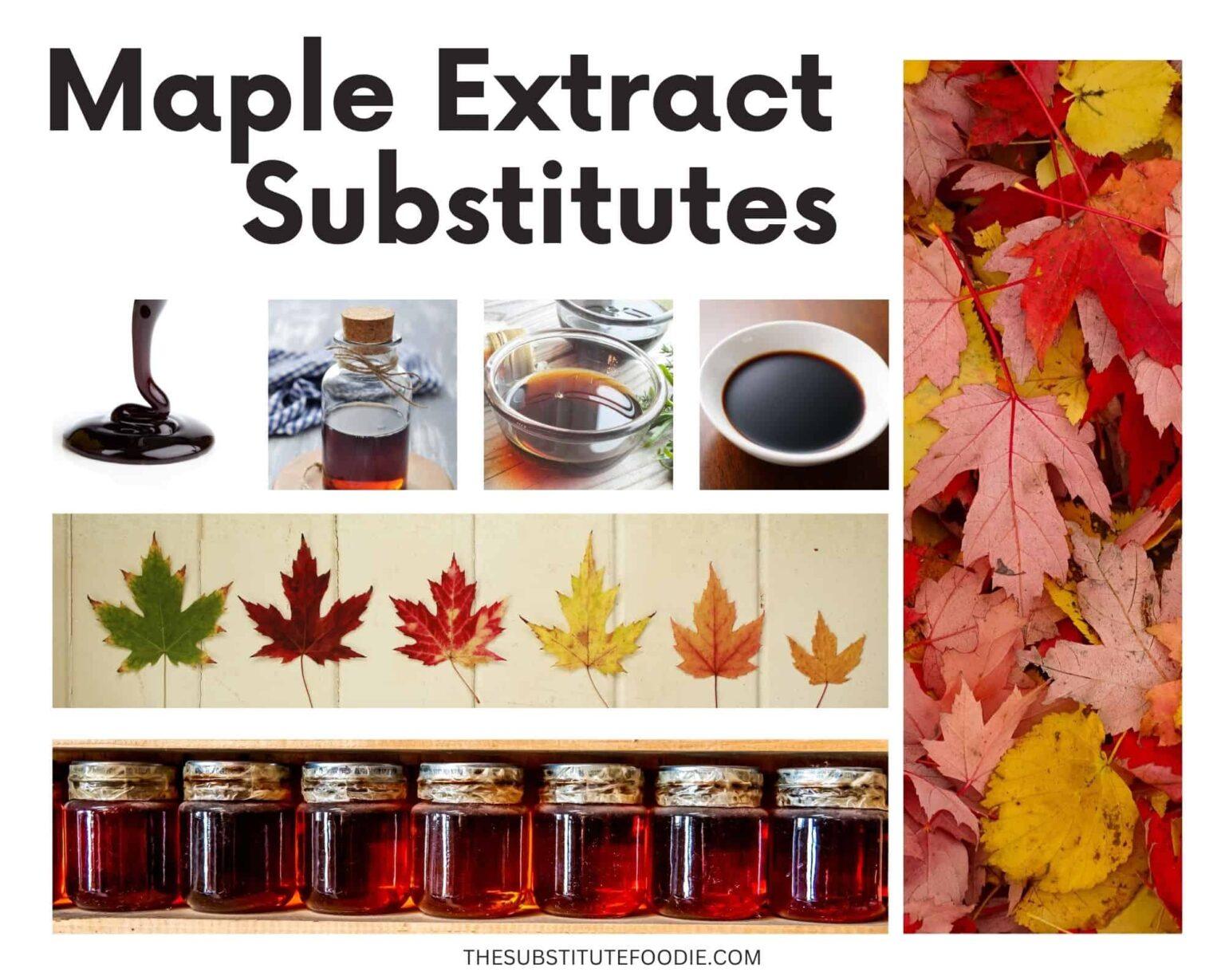 The BEST Substitutes For Maple Extract | The Olive Branch Nest