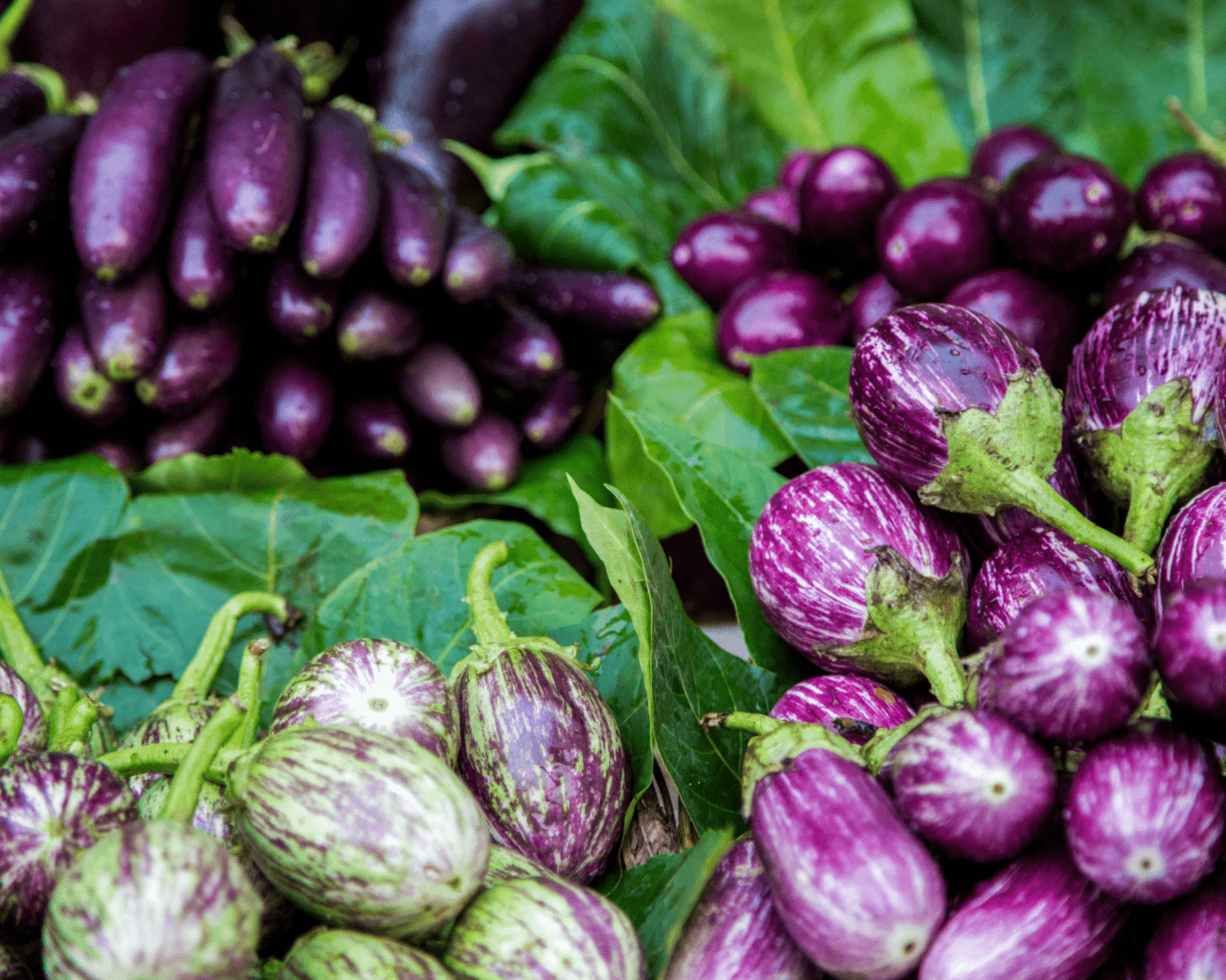 The Best Eggplant Substitutes That Work The Olive Branch Nest 4318