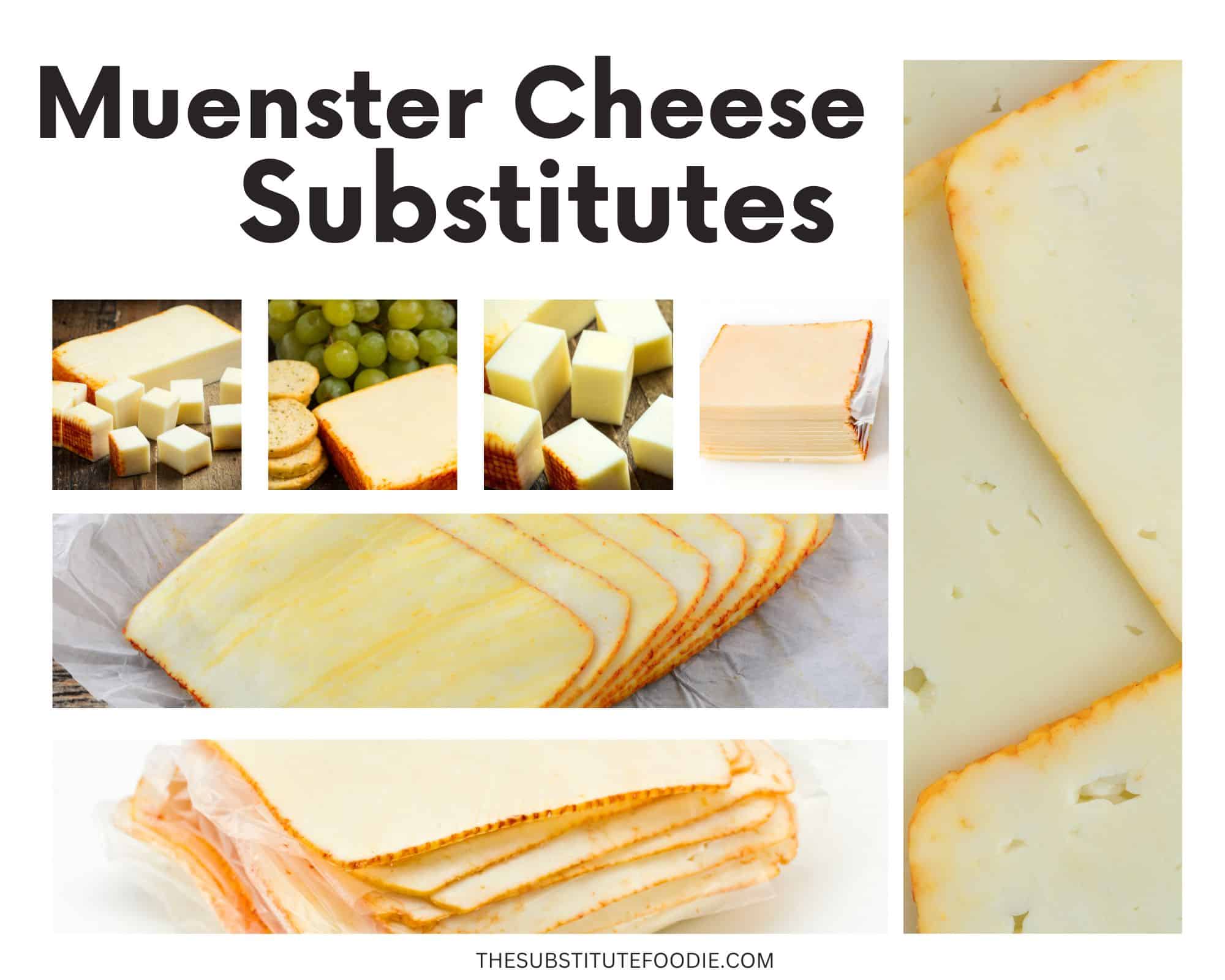 The BEST Muenster Cheese Substitutes You Have To Try | The Olive Branch ...