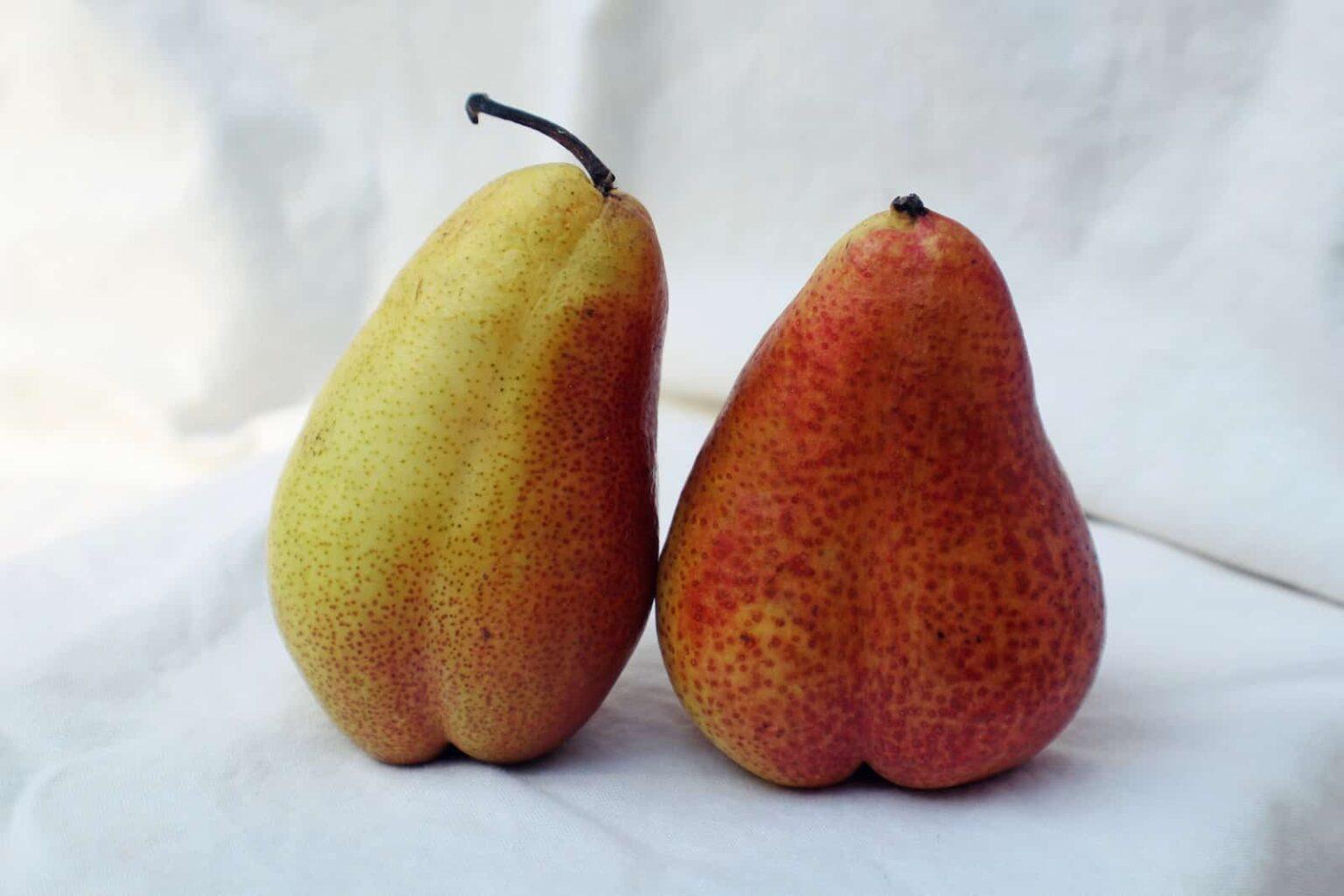 The 7 BEST Substitutes For Asian Pears (Korean Pears) | The Olive ...