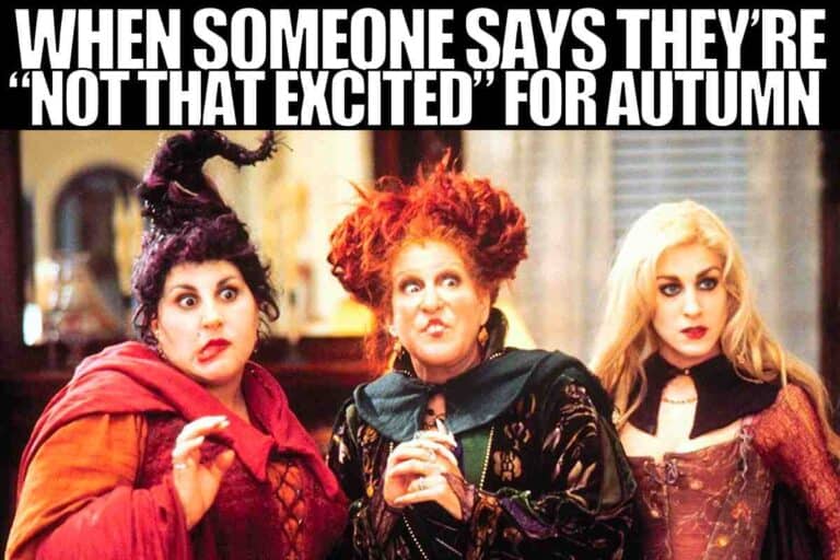 50 Hilarious Fall Memes To Warm Your Soul. | The Olive Branch Nest