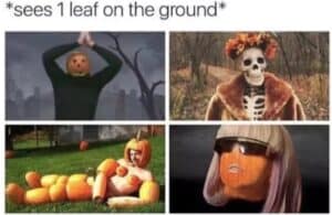 50 Hilarious Fall Memes To Warm Your Soul. | The Olive Branch Nest