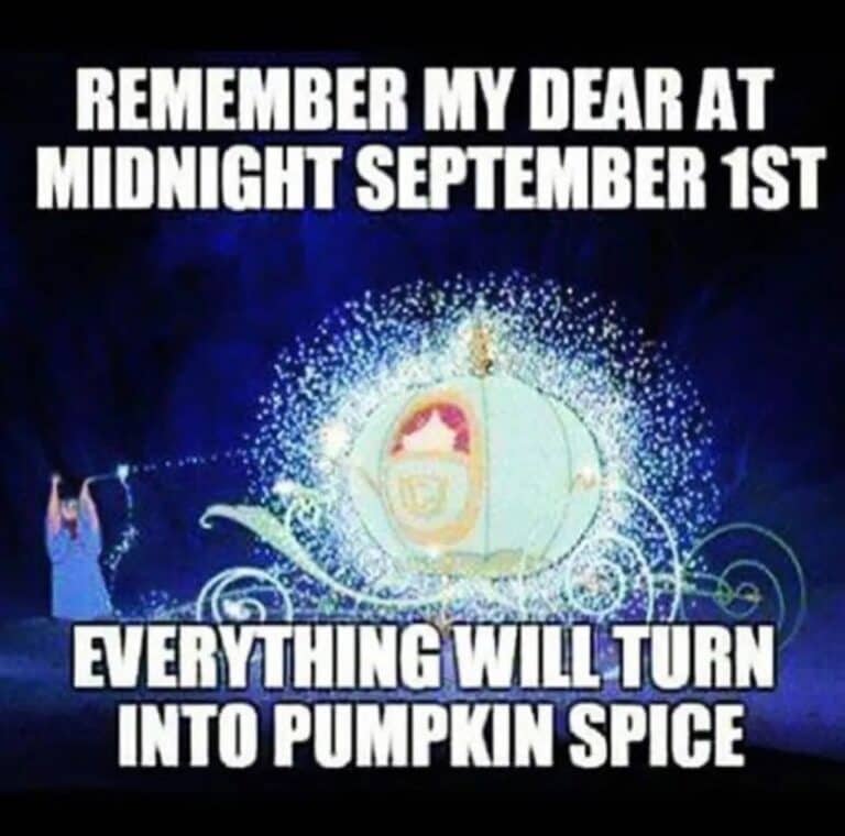 50 Hilarious Fall Memes To Warm Your Soul. | The Olive Branch Nest