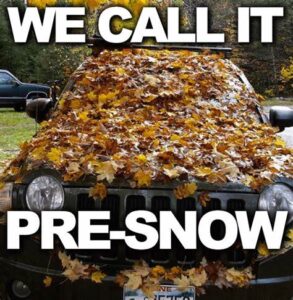 50 Hilarious Fall Memes To Warm Your Soul. | The Olive Branch Nest