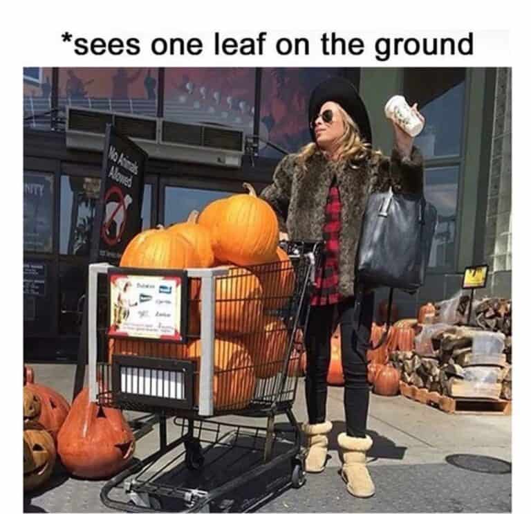50 Hilarious Fall Memes To Warm Your Soul. | The Olive Branch Nest